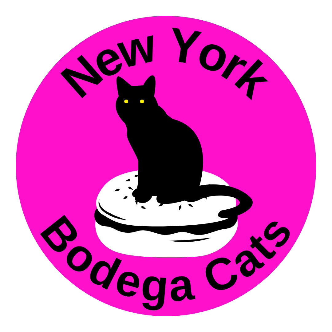 Bodega Cats RFC – rugbydaddy